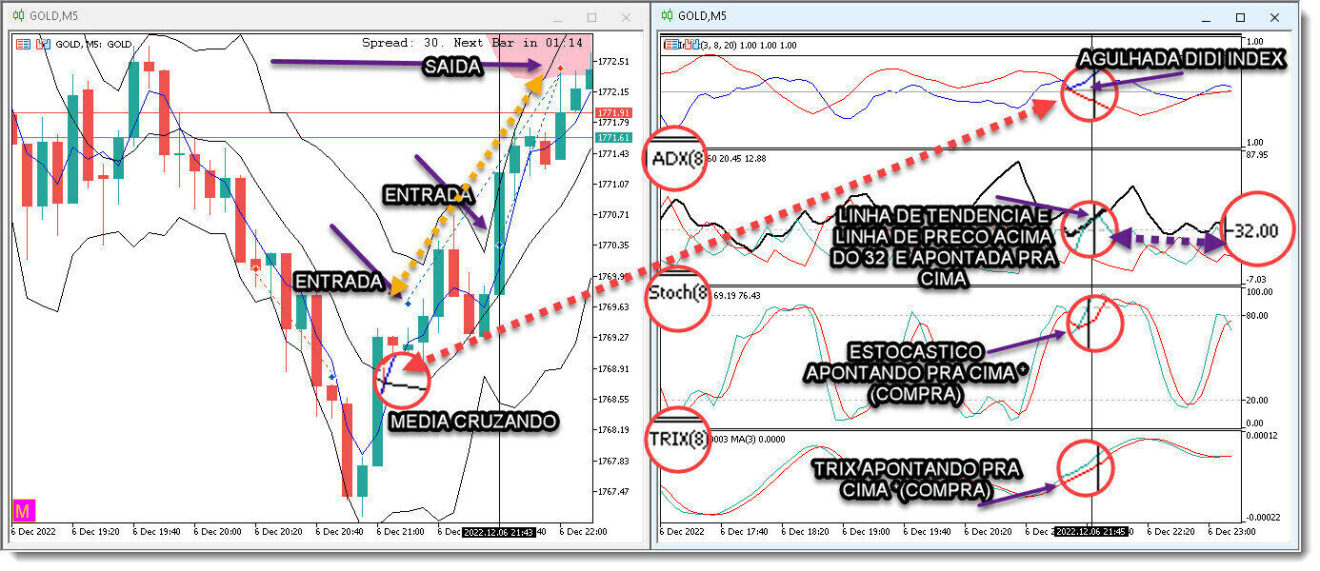 Desbloqueie seu Potencial com o Indicador Didi Index e o Curso Completo ...